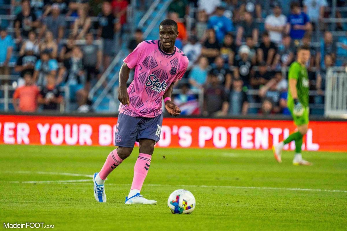 Niels Patrick Nkounkou (ASSE) : Statistiques / salaire / âge et origine